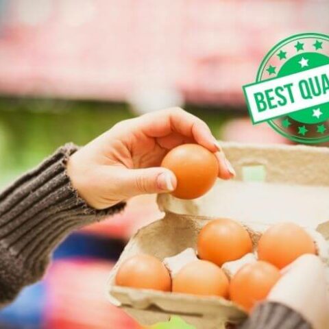 Kitchen tips : How to check quality of eggs at home