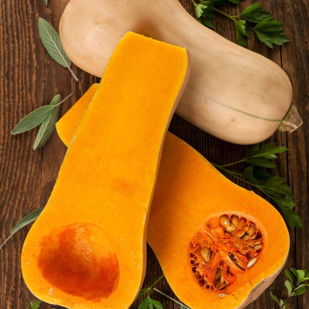 Types of Squash ( Summer & Winter Squash ) : How to cook – Recipes Of Home