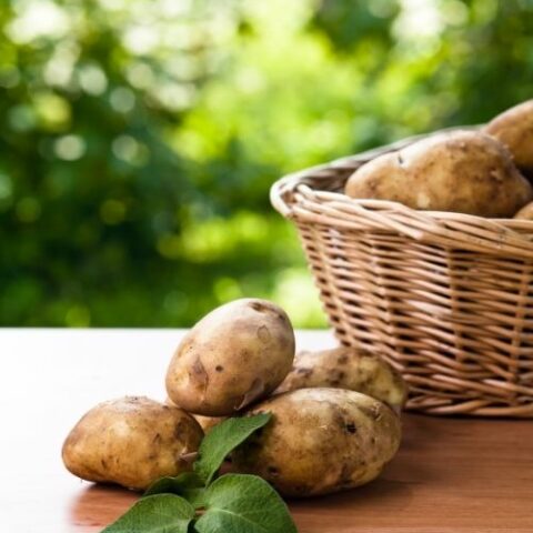 How to store potatoes to keep them fresh for longer
