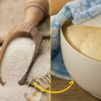 How To Proof Yeast: A Step-by-Step Guide For Perfect Baking