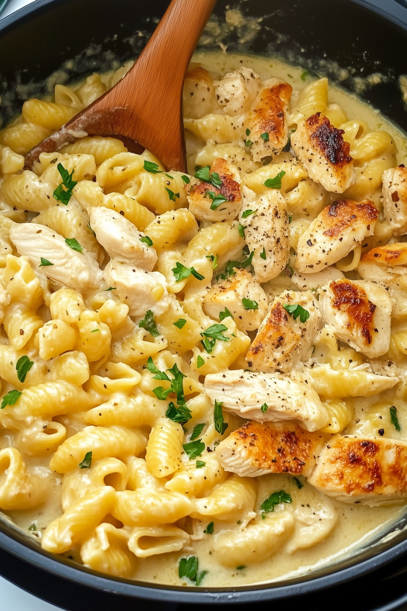 Homemade Creamy Shells and Chicken